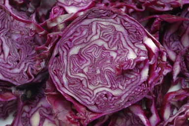 Red (Purple) Cabbage Dye — All Natural Dyeing